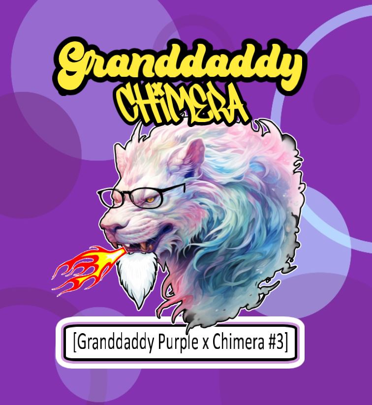 Strawberry Sherbet Cookies